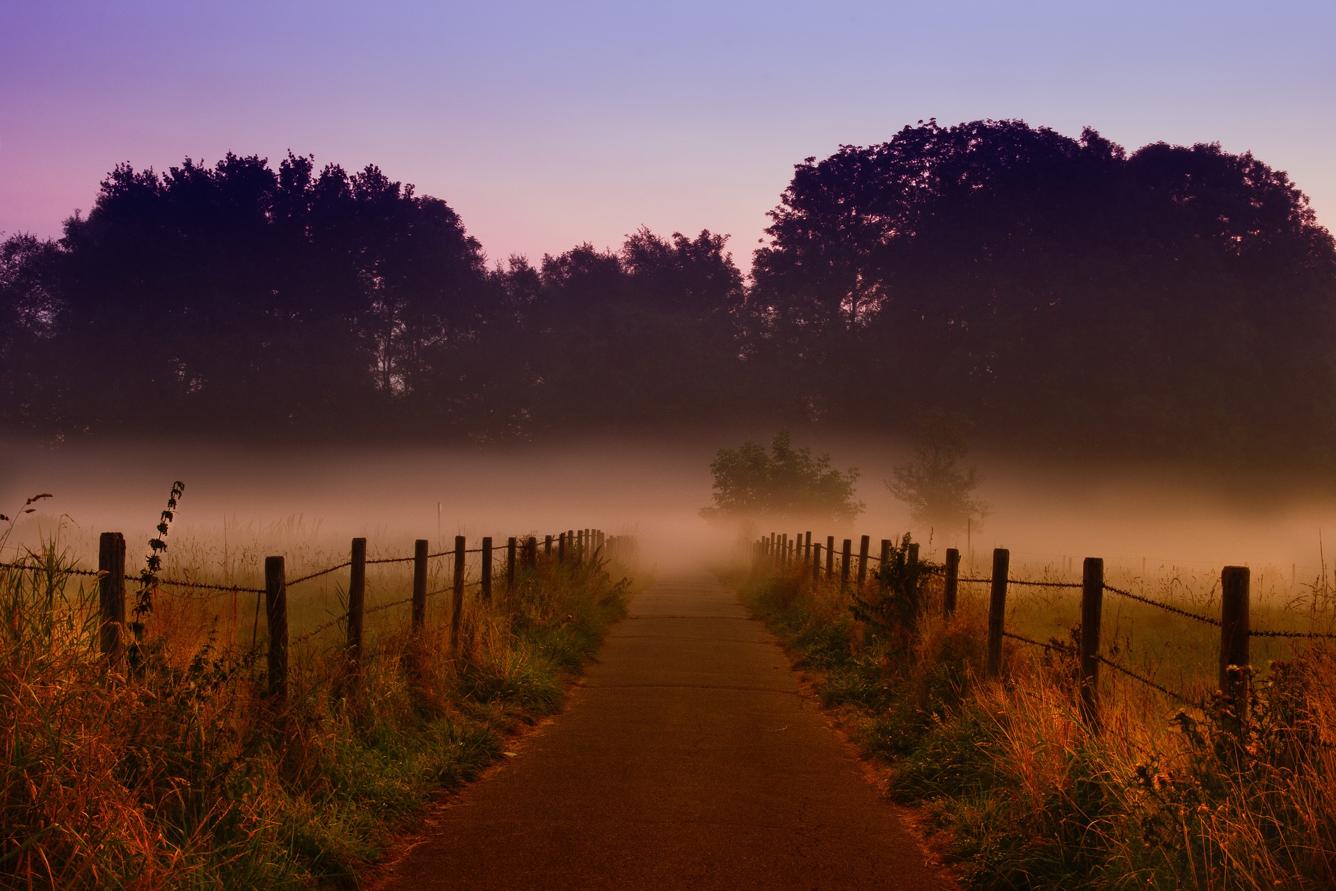 The Ascendant as it relates to Life Purpose – Celestial Chimes Astrology